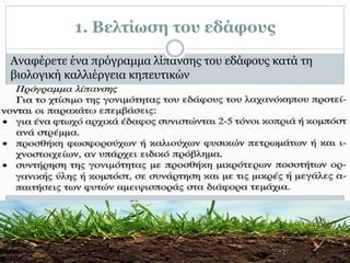 Κεφ. 6ο Κηπευτικά | PDF