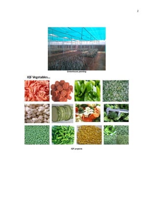 Vegetables and fruits frozen- projects | PDF