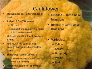 Vegetables A To Z | PPT