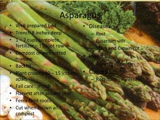 Vegetables A To Z | PPT
