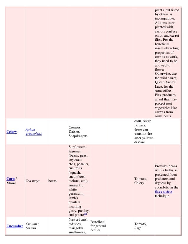 Vegetables Companion Planting Guide