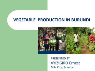Vegetables growth in burundi | PPT