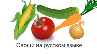 Vegetables in Russian | PPT