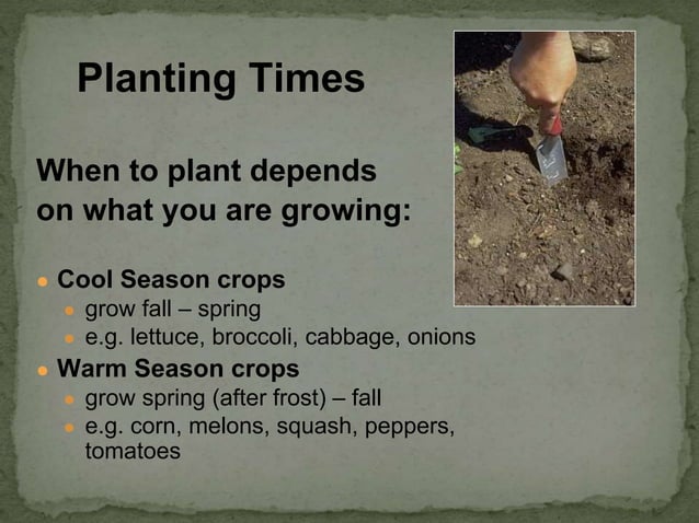 Vegetables lecture 2017` | PPT