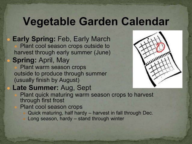 Vegetables lecture 2017` | PPT