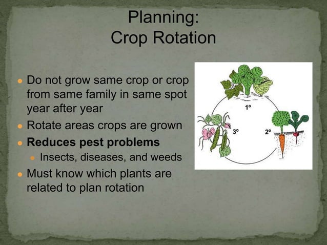 Vegetables lecture 2017` | PPT