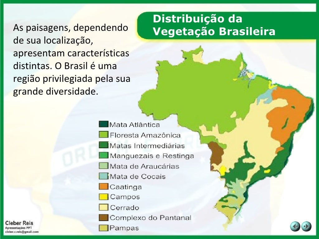 Vegetação Brasileira