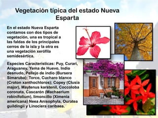 Vegetacion | PDF