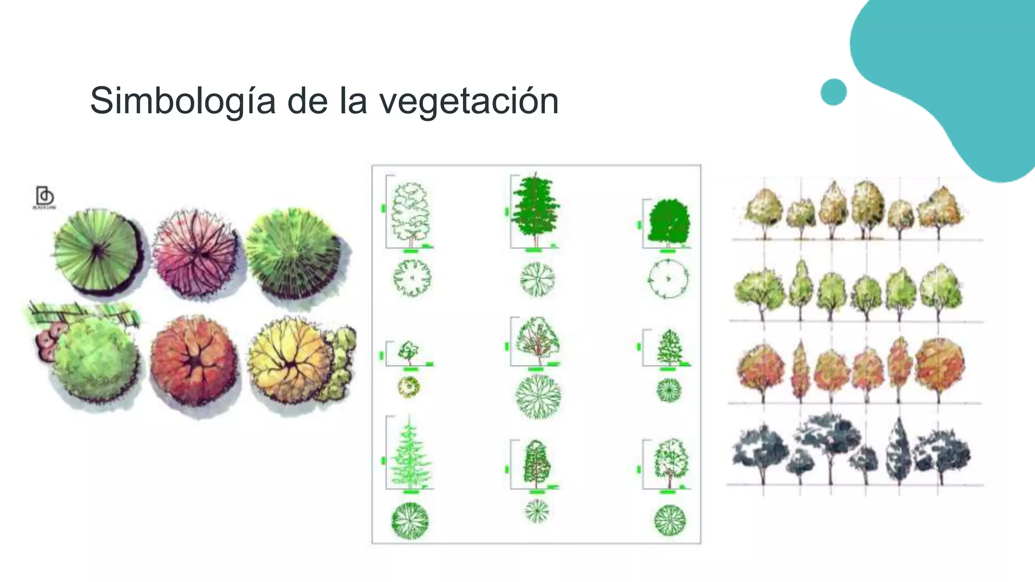 VEGETACION EN LA ARQUITECTURA | PPTX | Drawing and Sketching | Arts and ...