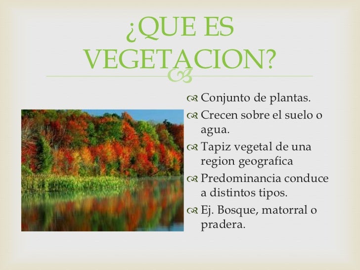 Fotos gratis paisaje, árbol, naturaleza, desierto, montaña, planta ...