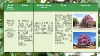 Vegetacion y usos | PDF