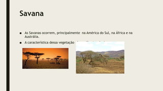 Vegetações do planeta e meio ambiente.pptx