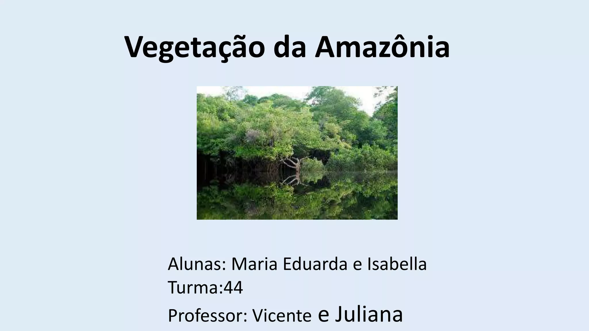 Vegetação da amazonia oficial 3 | PPTX