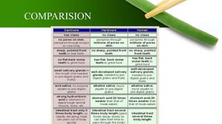 VEGETARIANISM | PPTX