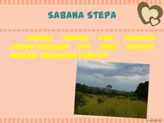 Vegetasi dan hewan di Indonesia | PPT