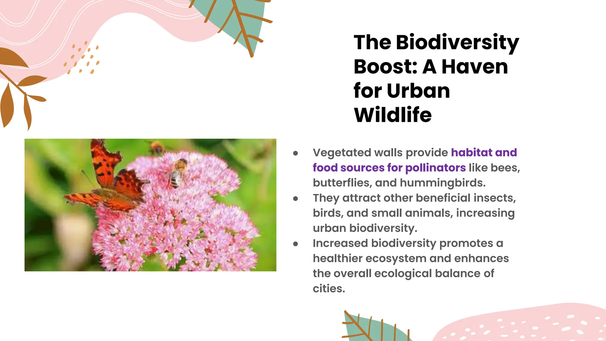 transforming building facades: mitigating urban heat & enhancing ...