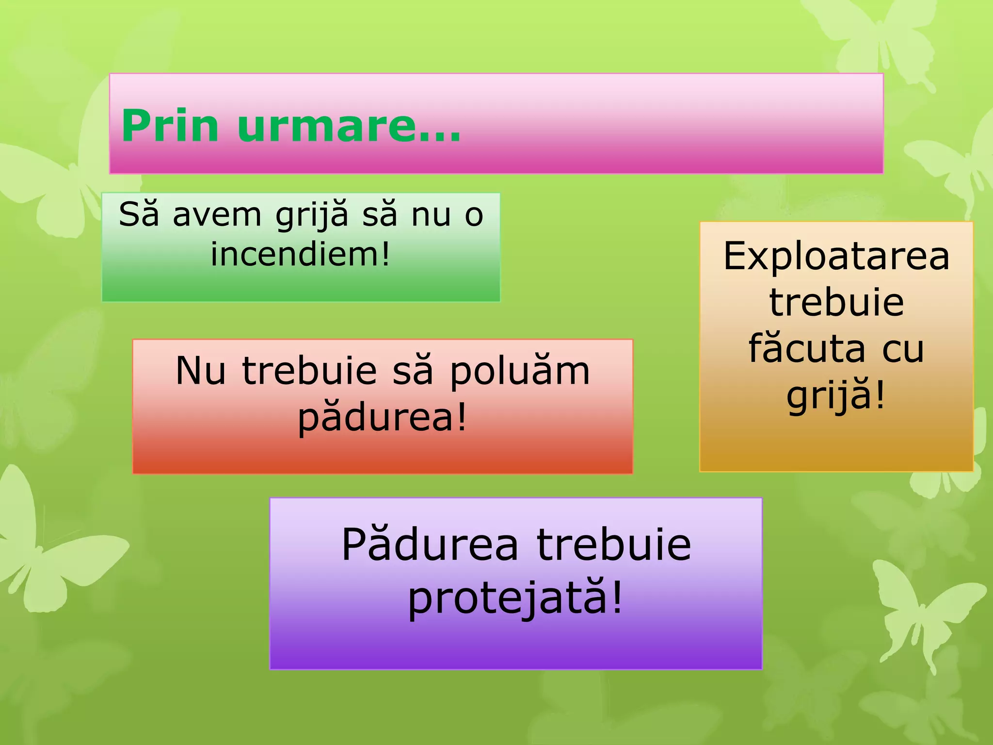 Vegetatia, animalele si solurile 2 | PPTX