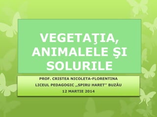 Vegetatia, animalele si solurile 2 | PPTX