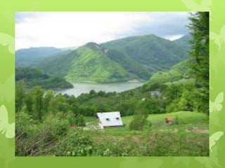 Vegetatia, animalele si solurile 2 | PPTX