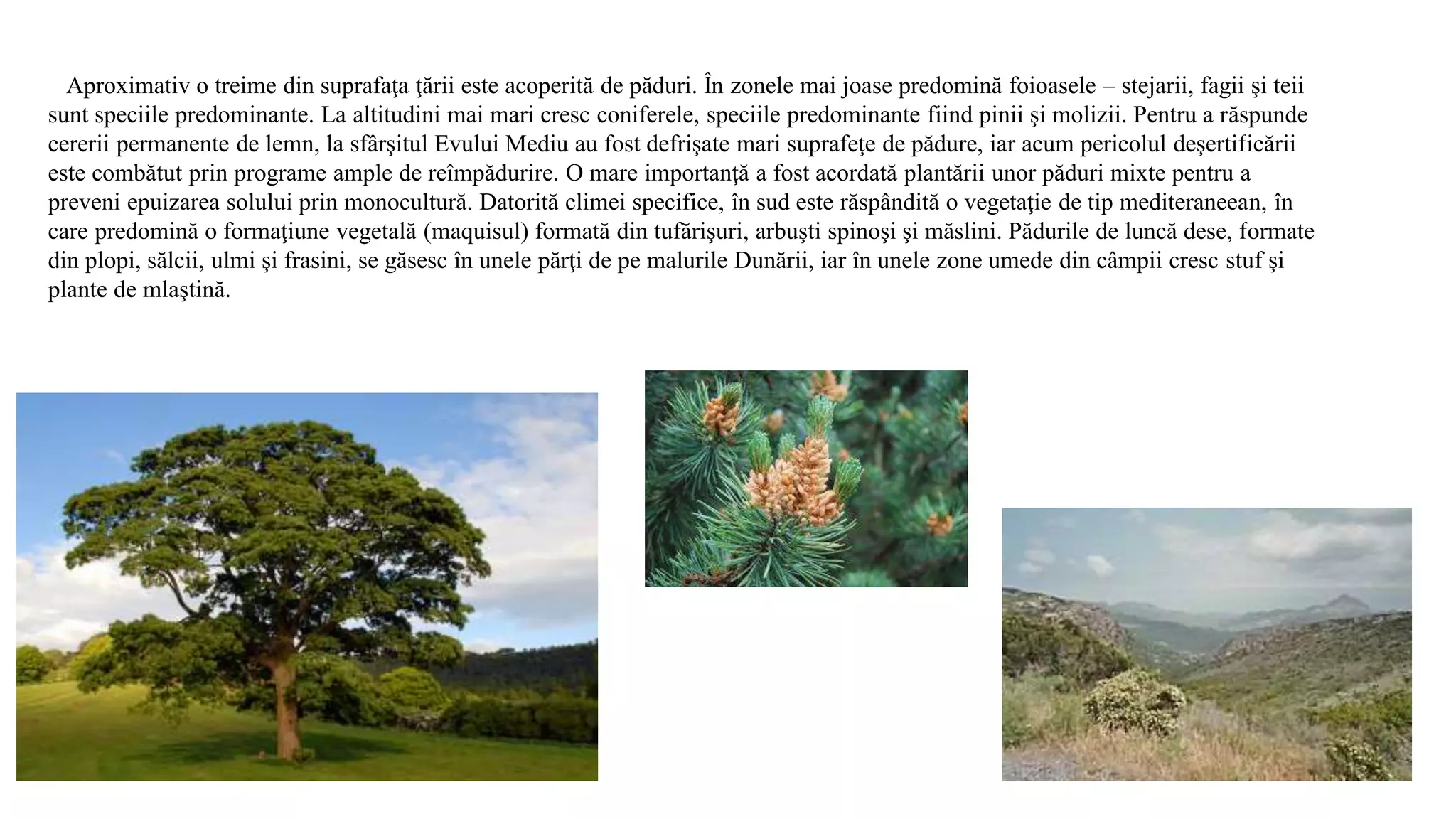 Vegetatia , fauna , resurse naturale | PPTX