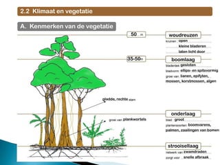 Vegetatie | PPSX | Gardening | Home & Garden