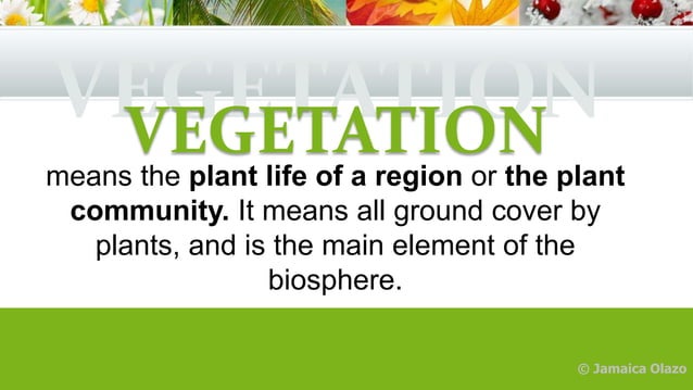 Lesson 18: Vegetation of the Earth | PPSX