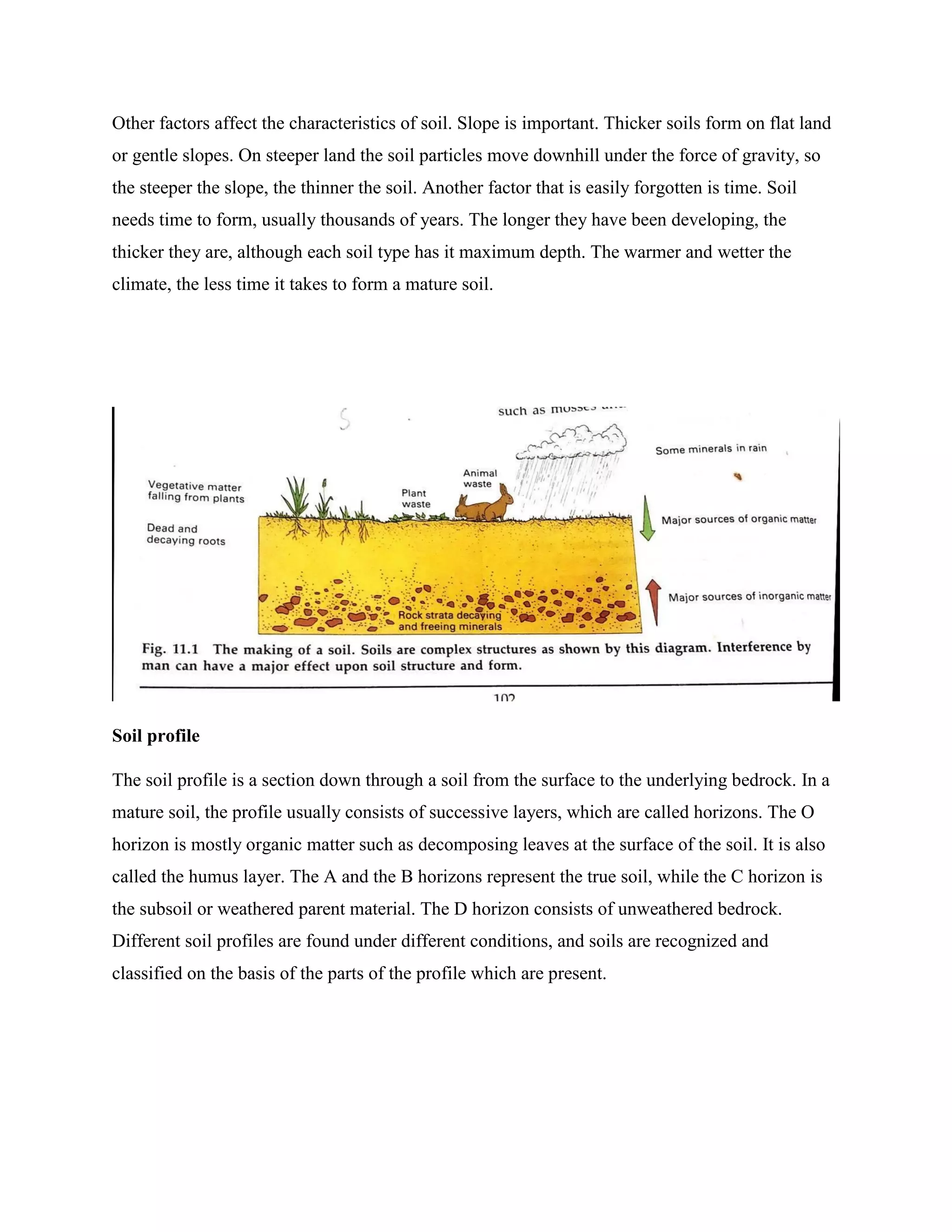 CSEC Geography - Vegetation and Soils | PDF