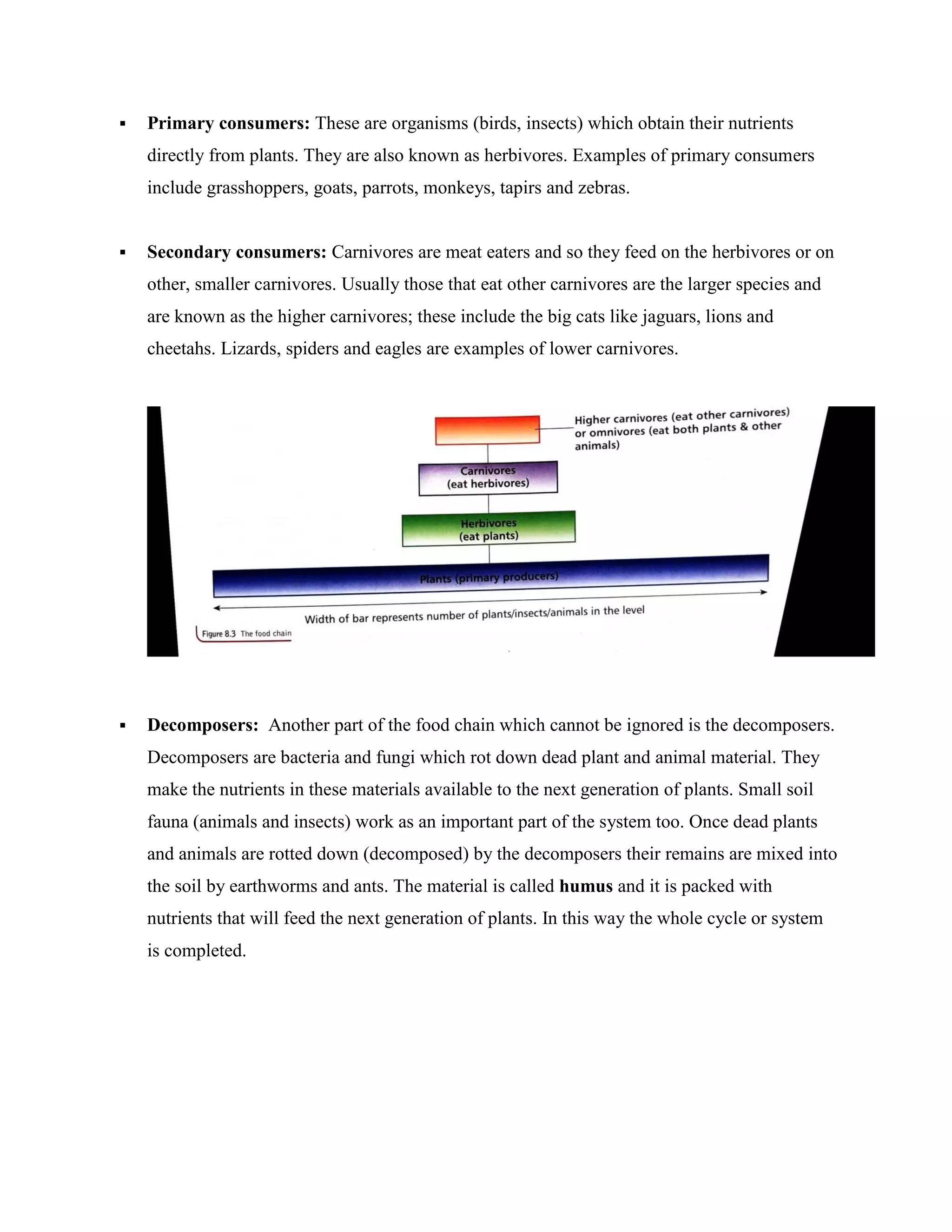 CSEC Geography - Vegetation and Soils | PDF