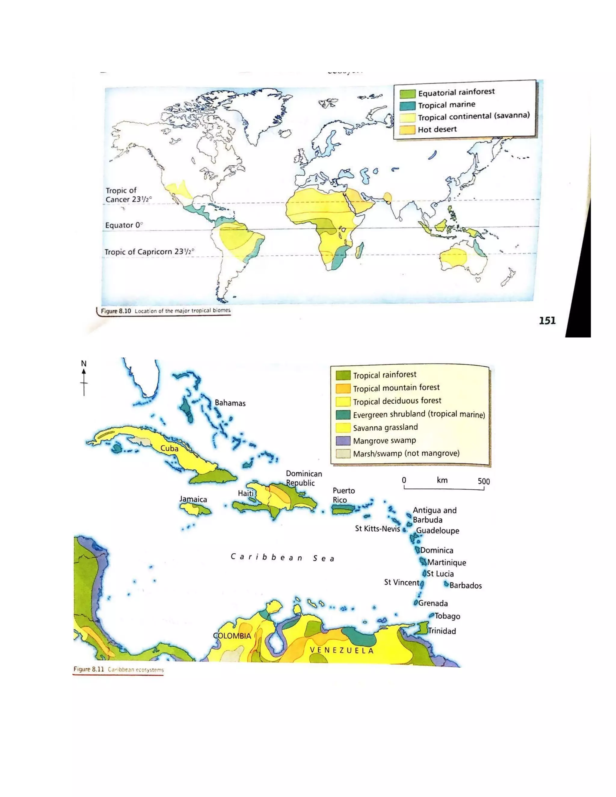 CSEC Geography - Vegetation and Soils | PDF