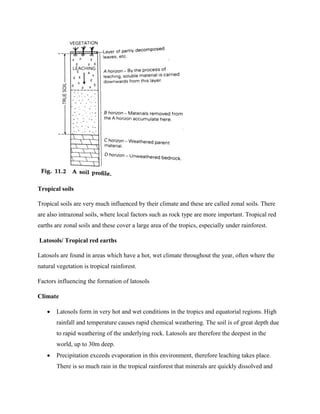 CSEC Geography - Vegetation and Soils | PDF