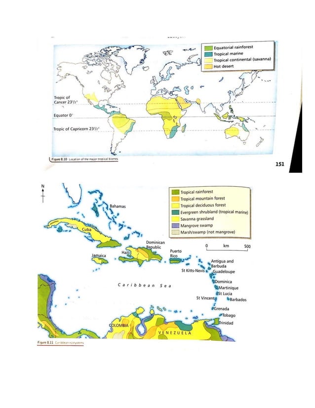 CSEC Geography - Vegetation and Soils | PDF | Geology | Science