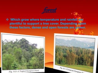 Vegetation and wildlife class vii cbse | PPSX