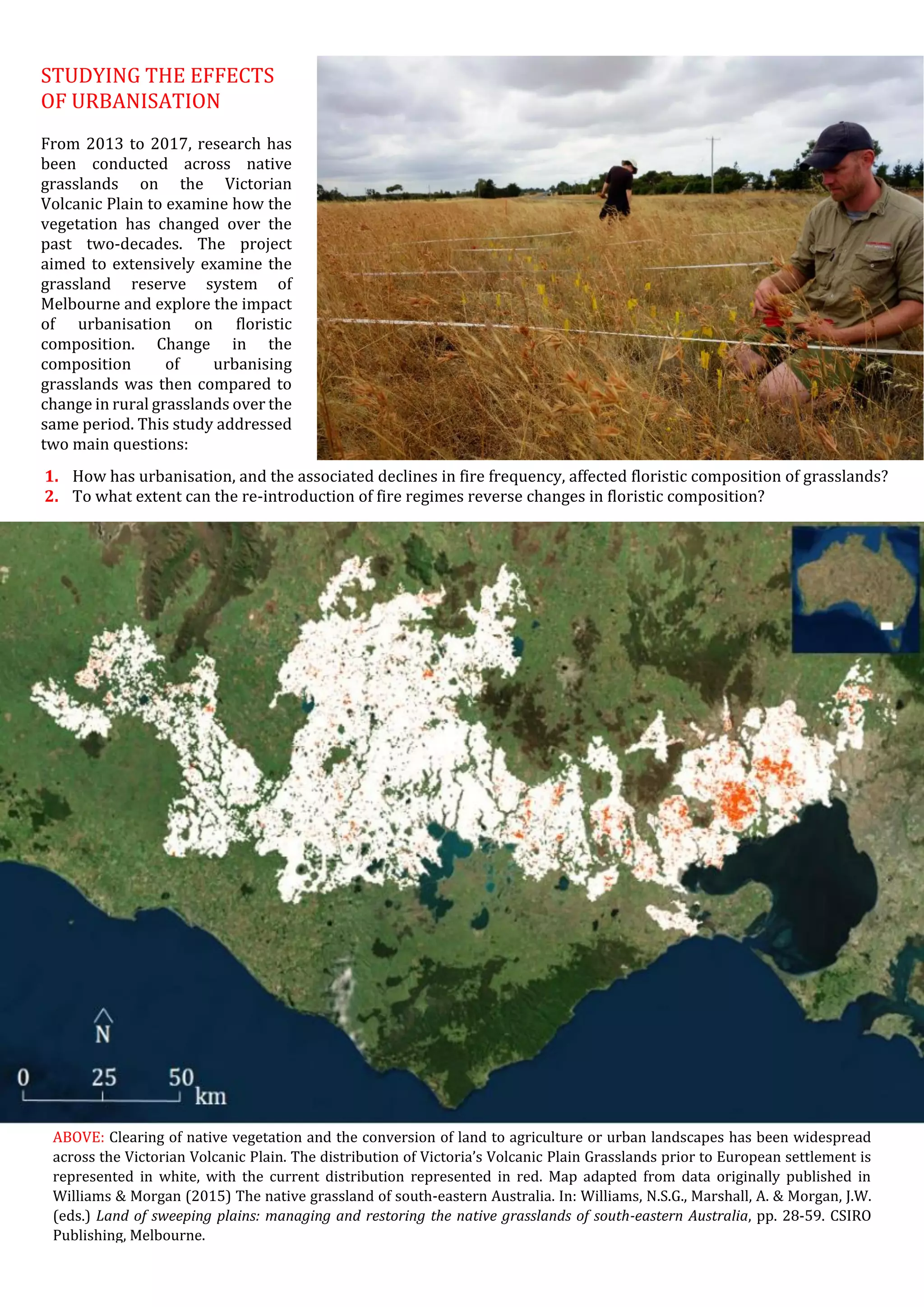 Grasslands of the Victorian Volcanic Plain: Vegetation change in the ...
