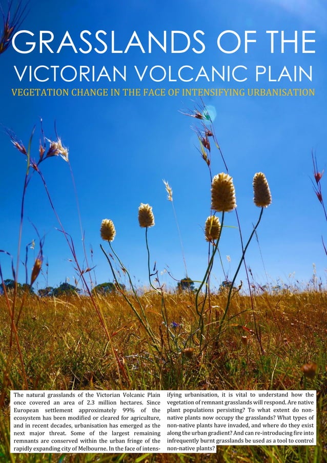 Grasslands of the Victorian Volcanic Plain: Vegetation change in the ...