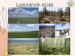 VEGETATION COVER.pptx