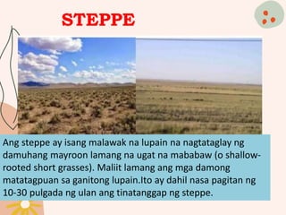 VEGETATION COVER.pptx