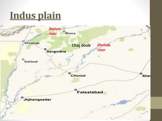 Vegetation cover monitoring | PPT