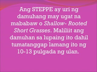 ang vegetation cover ng asya powerpoint presentation | PPT