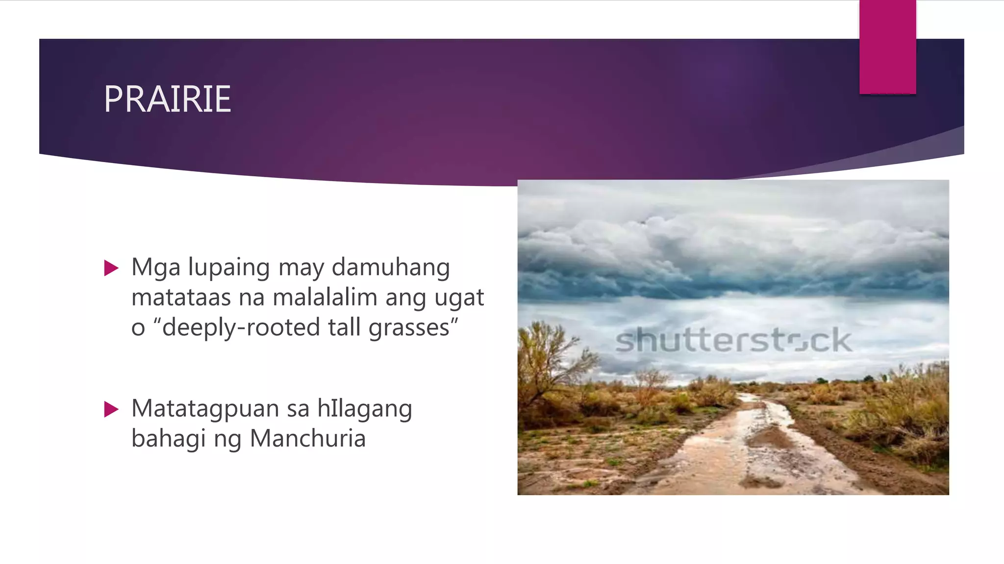 Vegetation cover ng asya ( behetasyon) | PPTX