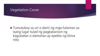 Vegetation cover ng asya ( behetasyon) | PPTX
