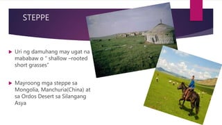 Vegetation cover ng asya ( behetasyon) | PPTX