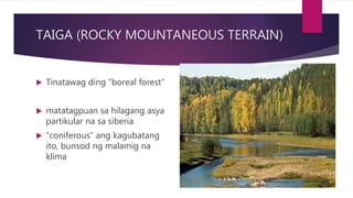 Vegetation cover ng asya ( behetasyon) | PPTX