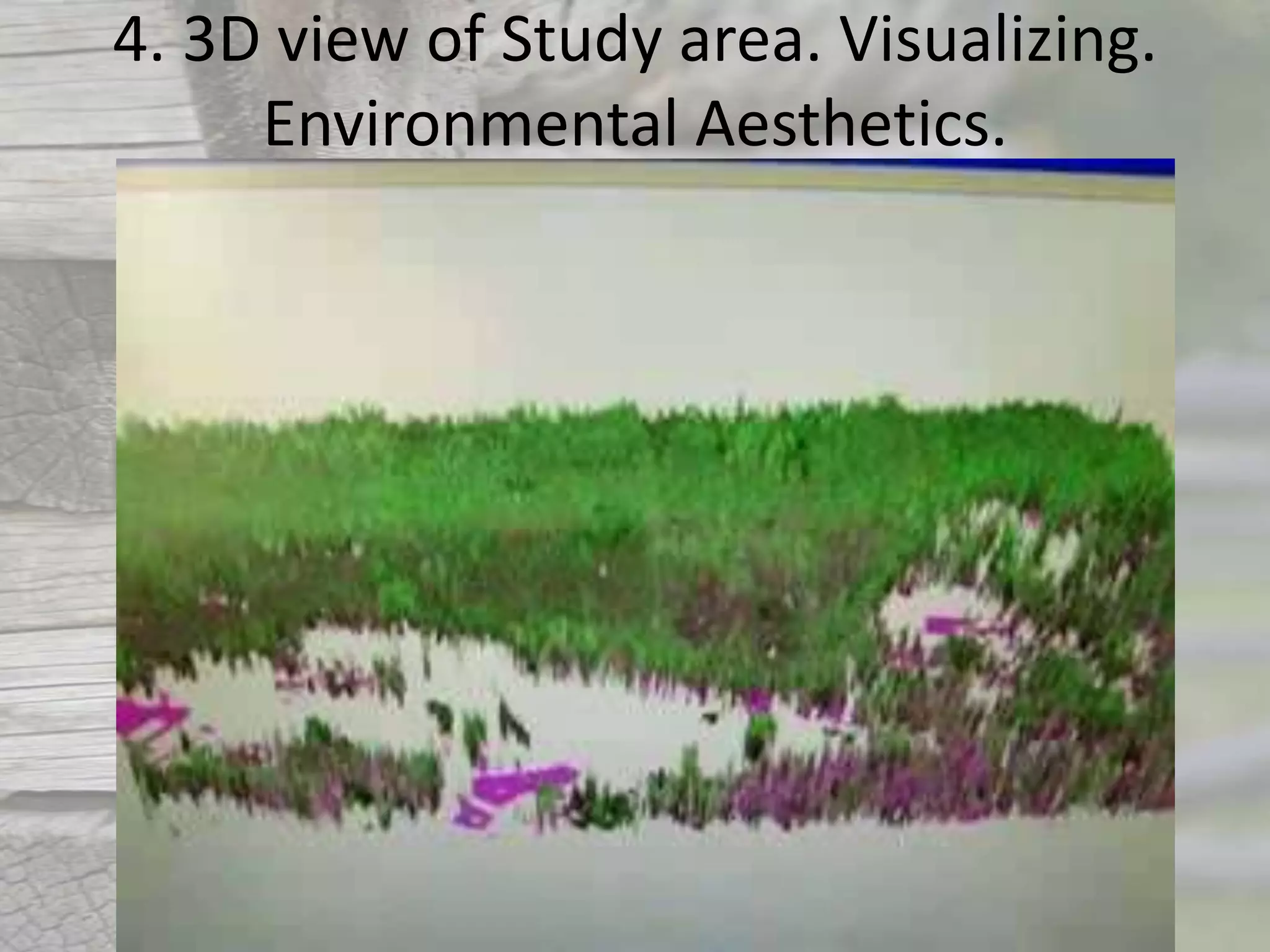 Vegetation Ecology Aesthetics Ppp | PPT