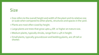 Vegetation in landscape | PPTX