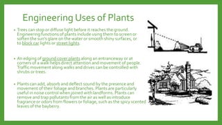 Vegetation in landscape | PPTX