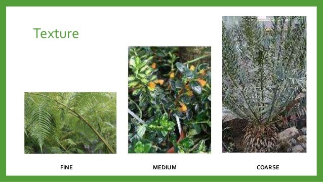 Vegetation in landscape