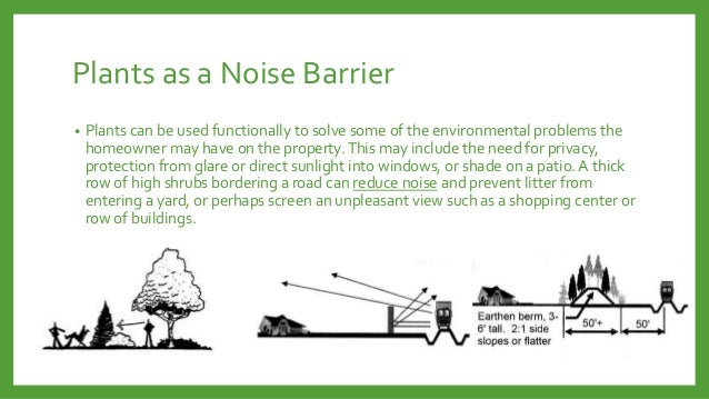 Vegetation in landscape