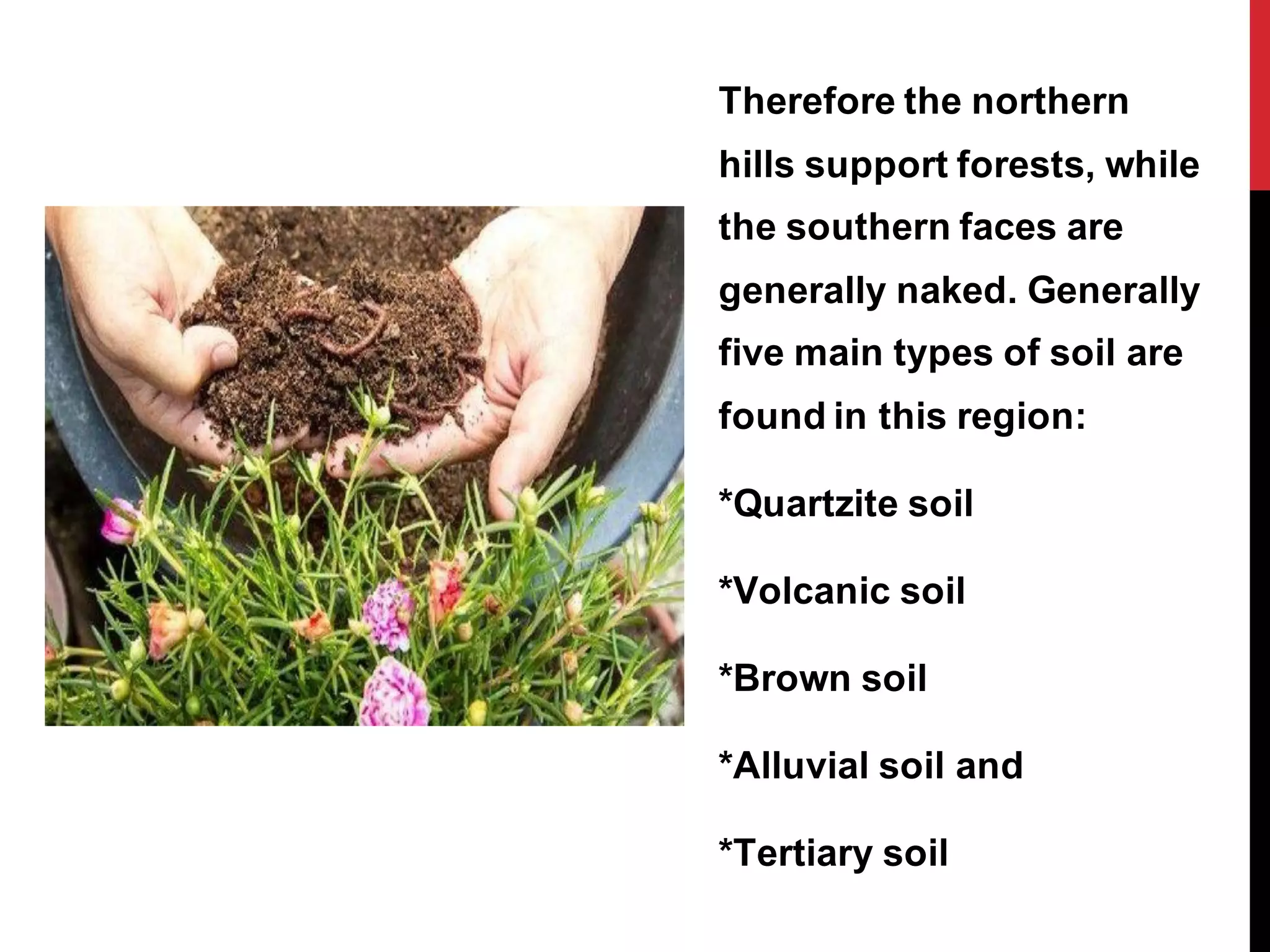Vegetation in Uttarakhand.pdf