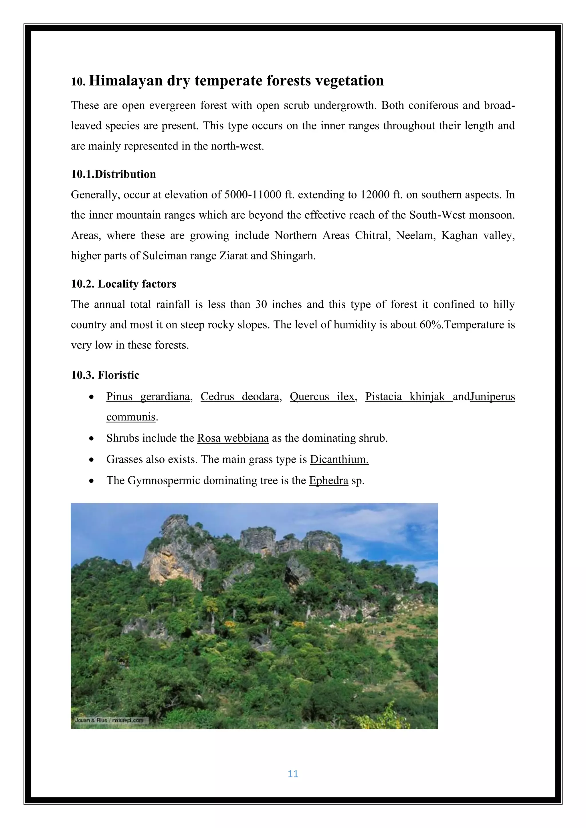 Vegetation of pakistan | PDF