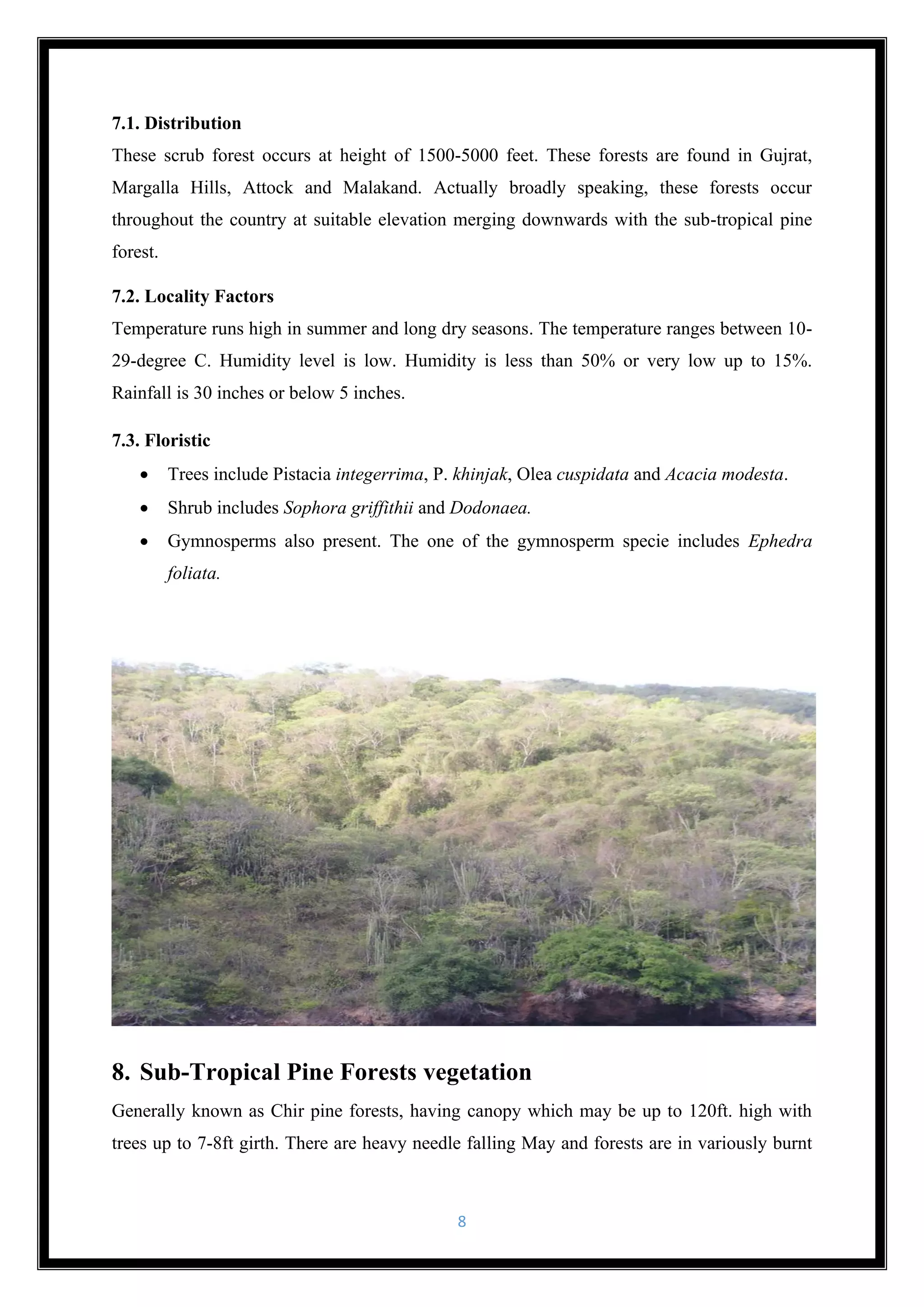 Vegetation of pakistan | PDF